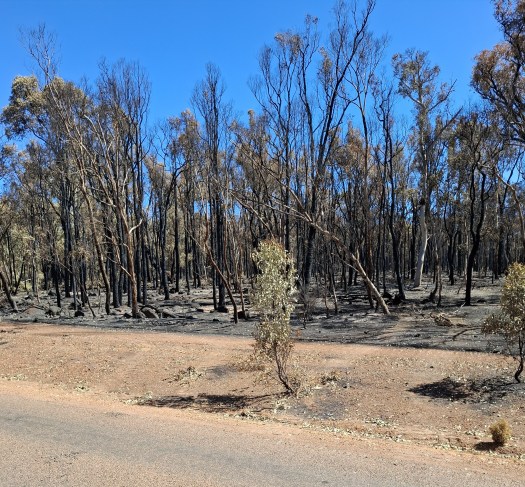 Boddington Fire – Yallingup Rural Volunteer Bush Fire Brigade